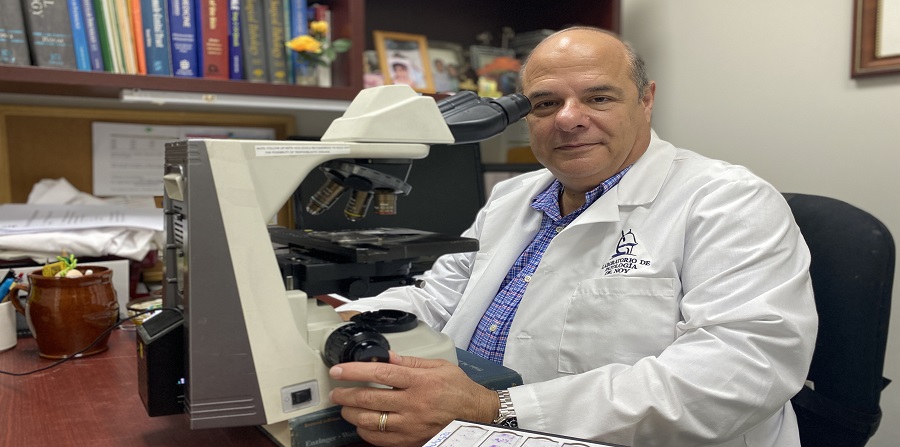 Labnoy – Laboratorio de Patologia Dr. Noy